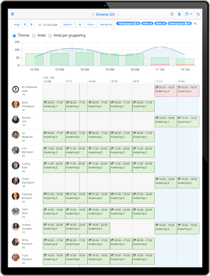 SwedeTime - Bemanningssystem för optimal bemanning